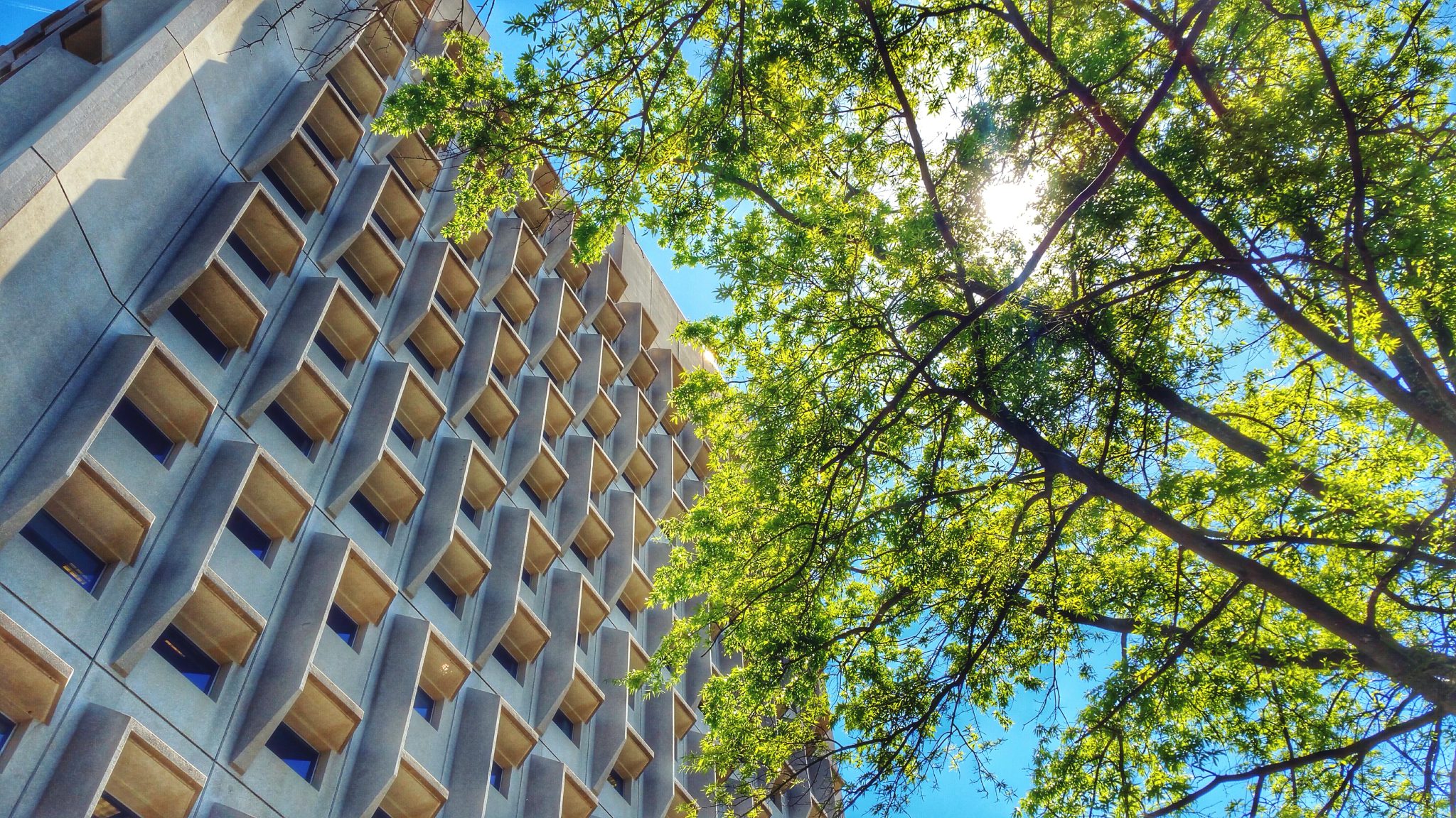 Label HQE : guide complet sur la certification bâtiment durable